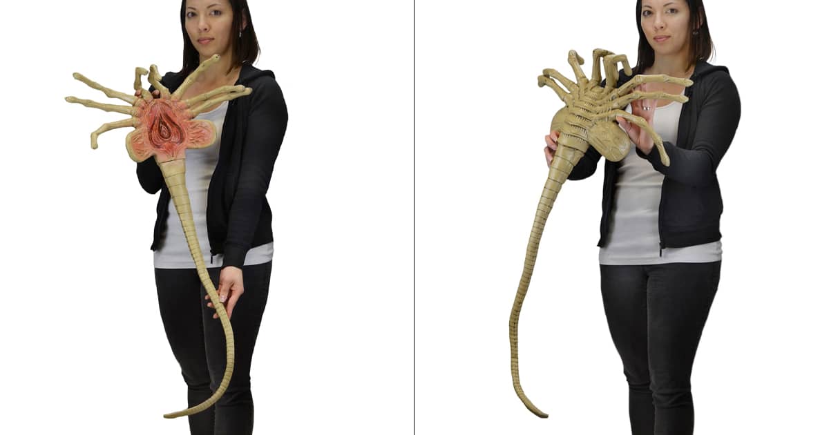 Life-Sized ALIEN Facehugger Prop Replica | The Green Head