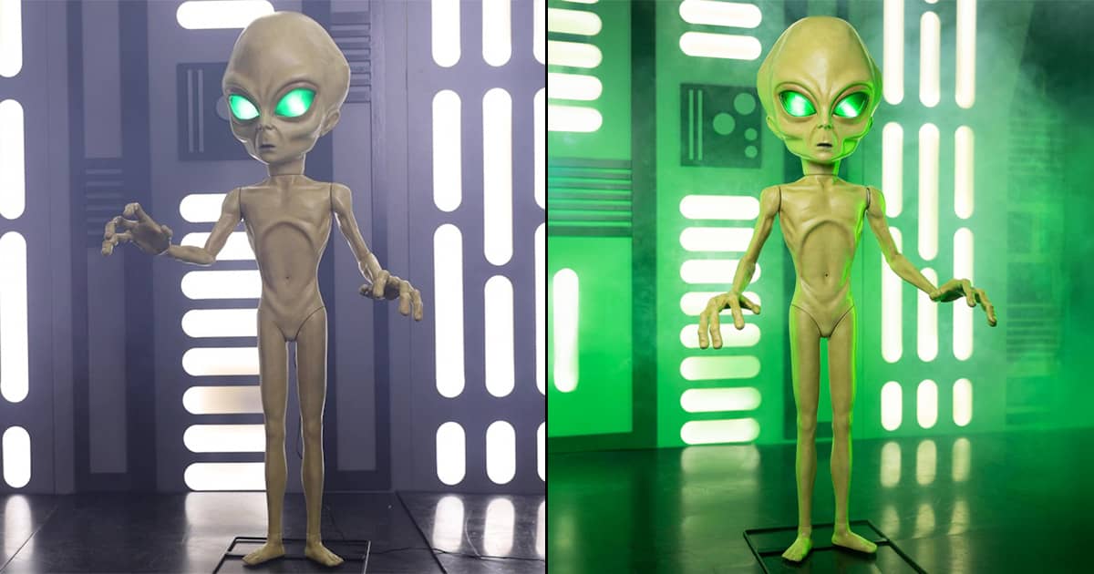 Life-Sized Animatronic Grey Alien Statue | The Green Head