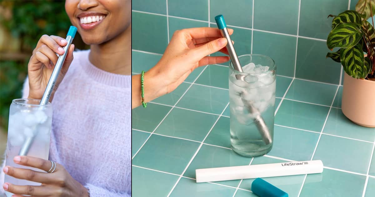 LifeStraw Sip - Reusable Stainless Steel Water Filter Drinking Straw ...