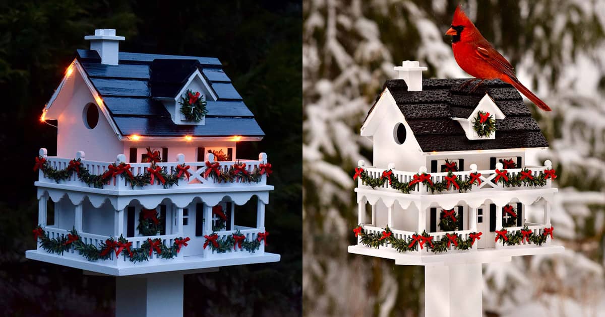 Lighted Holiday Colonial Cottage Birdhouse | The Green Head