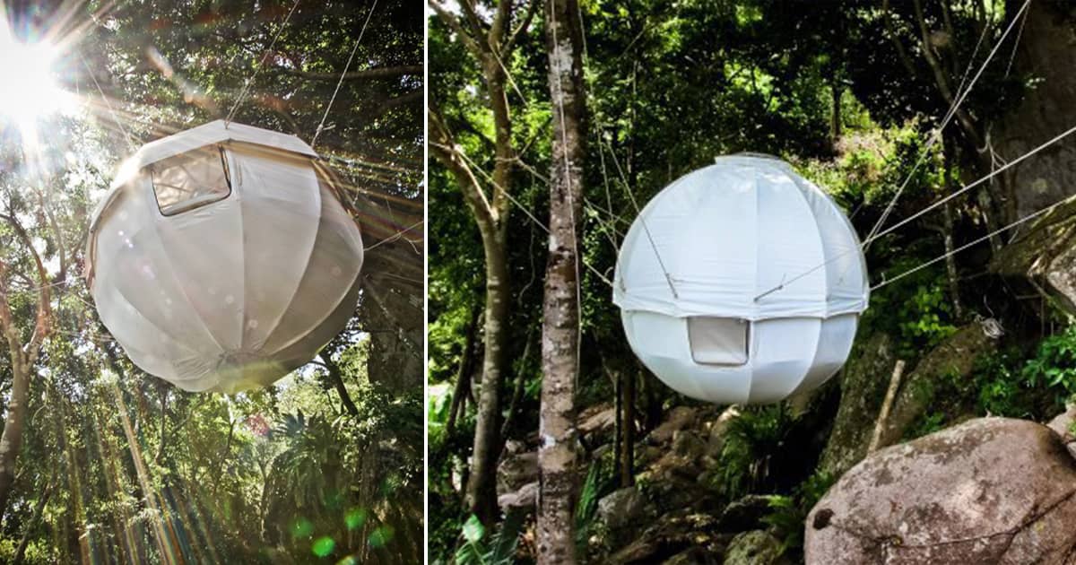 Luxury Treehouse Dome | The Green Head