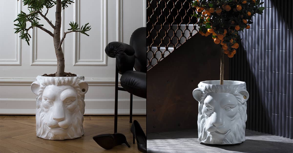 Majestic White Lion Planter Pot | The Green Head