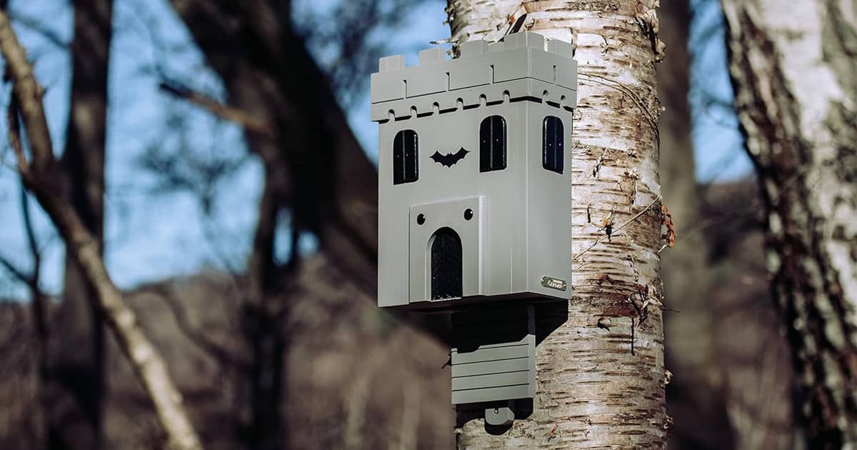 Medieval Bat Castle | The Green Head