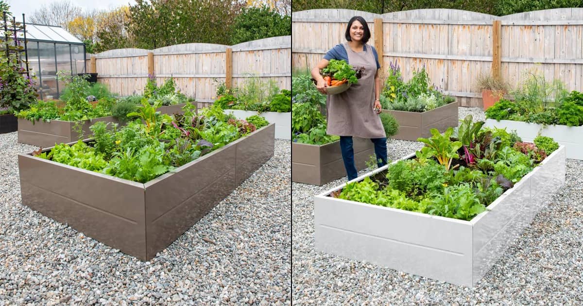 Metal Raised Garden Bed Planters | The Green Head