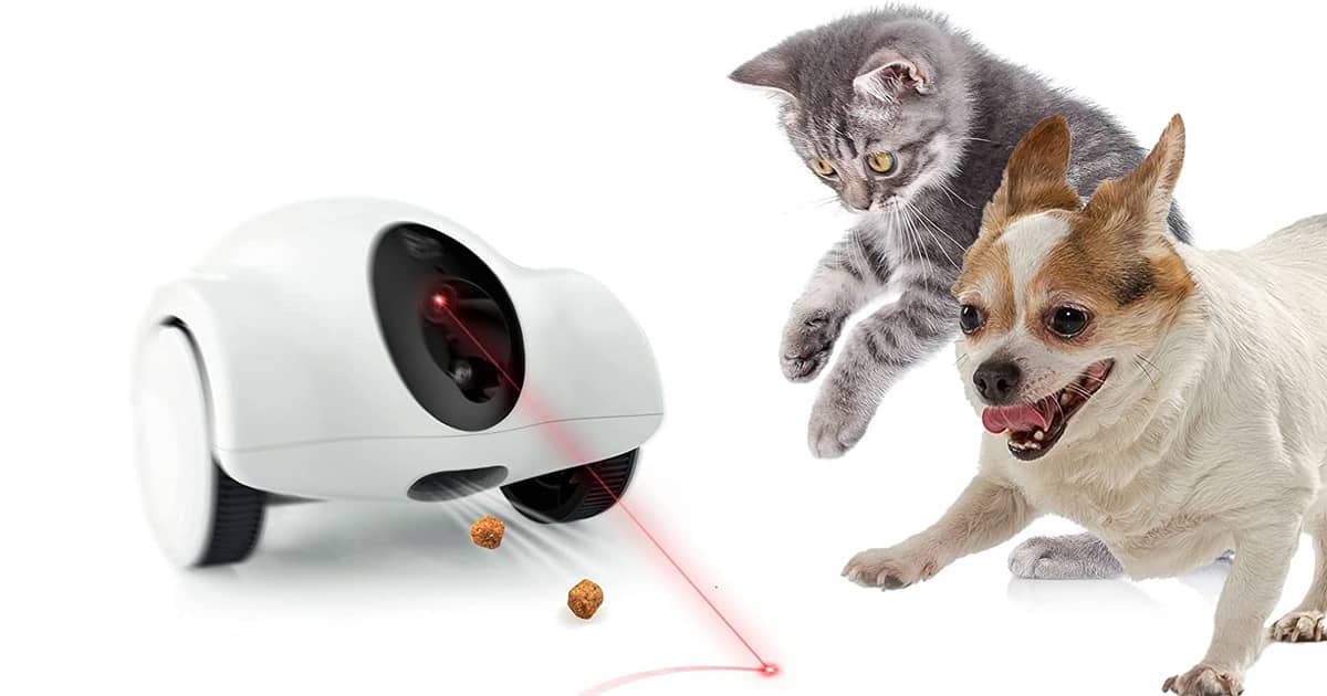 Movable Robotic Pet Camera / Treat Dispenser | The Green Head