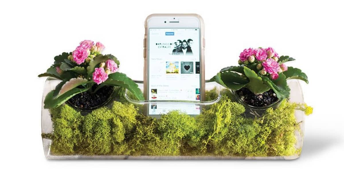 Plant AMP - Smartphone Speaker Amplifier / Glass Planter | The Green Head