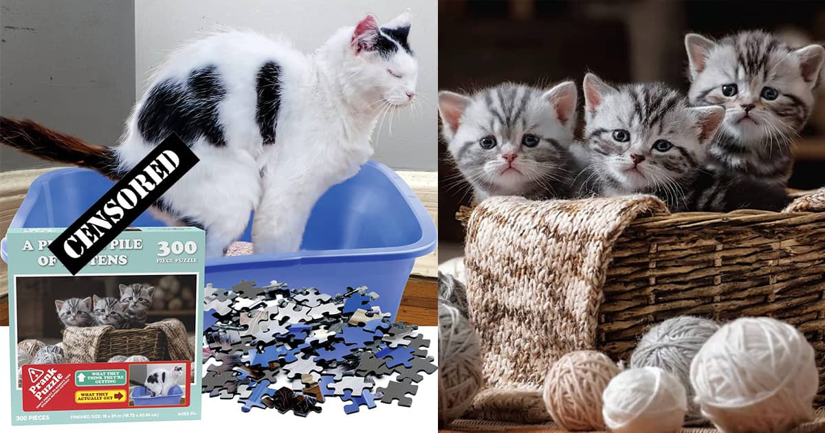 A Playful Pile of Kittens Prank Puzzle | The Green Head