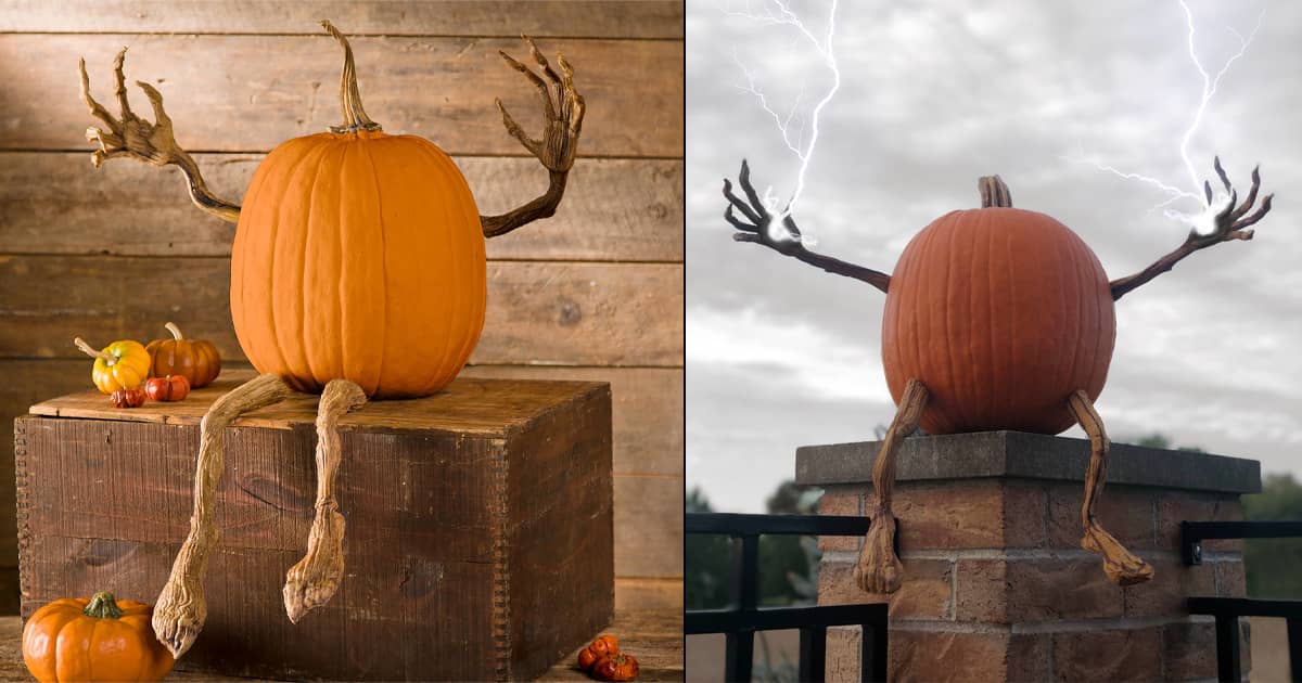 Posable Pumpkin Vine Arms and Legs | The Green Head