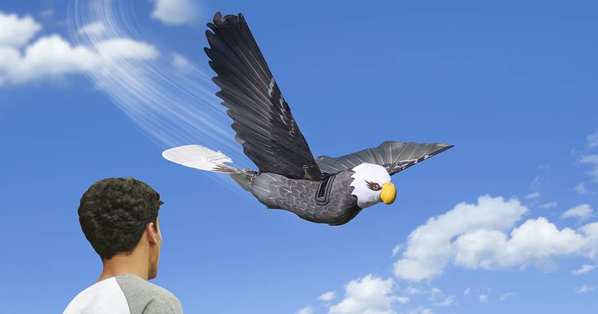 RC Realistic Flying Eagle Ornithopter | The Green Head