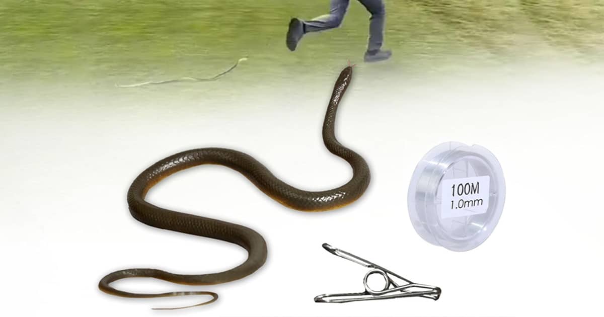 Realistic Snake on a String Golf Prank | The Green Head