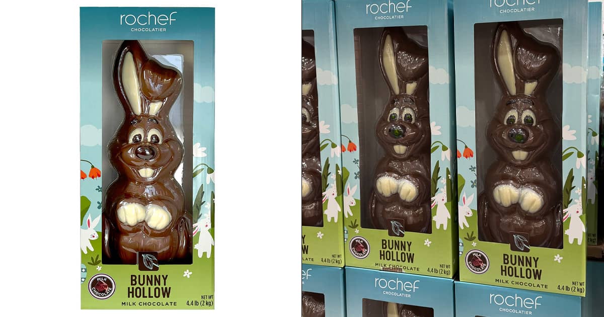 Rochef Giant Chocolate Easter Bunny - 2-Ft Tall / 4.4 Pounds! | The ...
