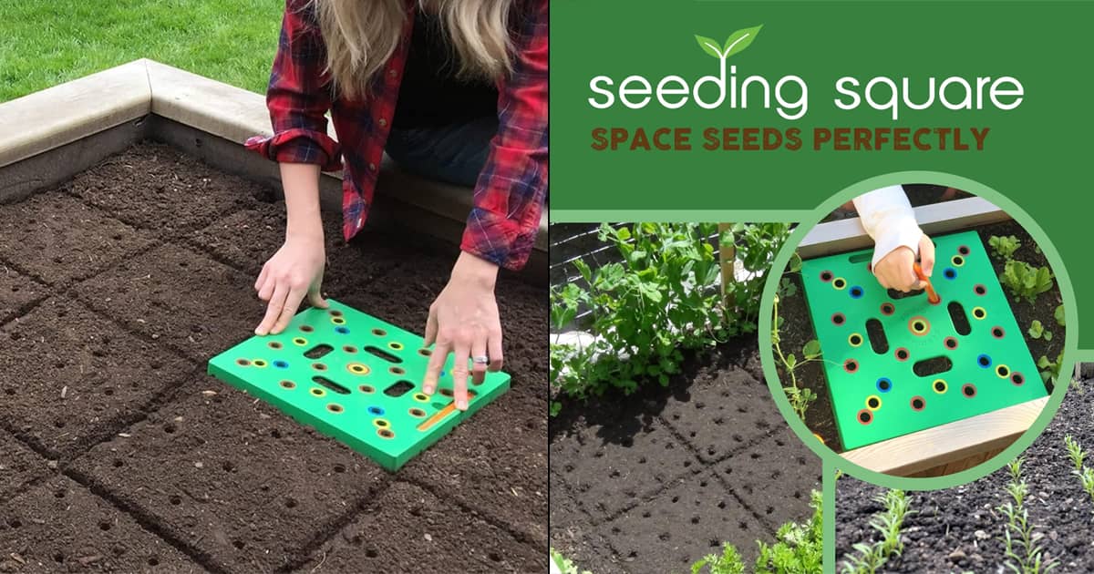 Seeding Square - Precision Seed and Seedling Garden Spacer Tool | The ...