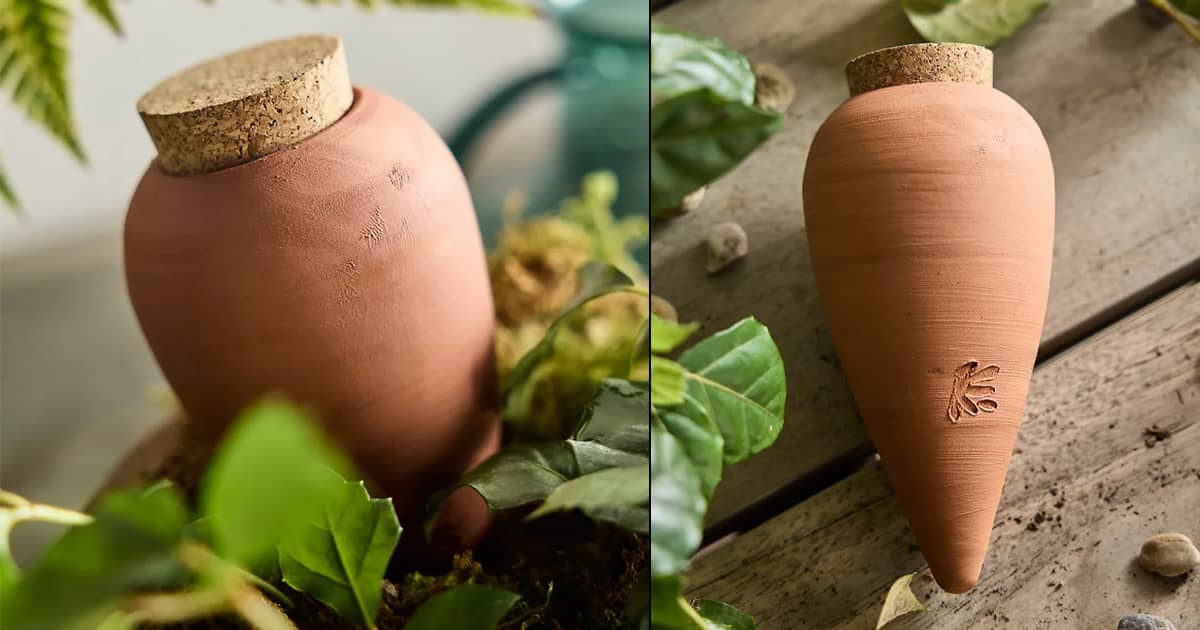 Self-Watering Terracotta Olla Pots for Houseplants | The Green Head