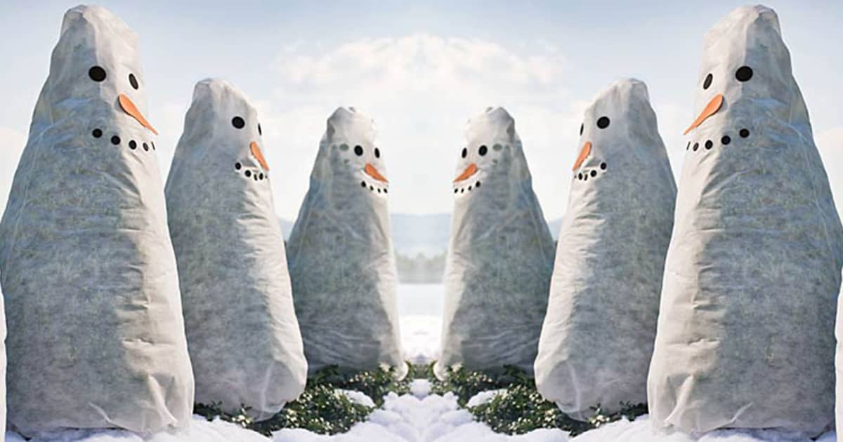 Snowman Bush Covers - Protection From Frost and Snow | The Green Head
