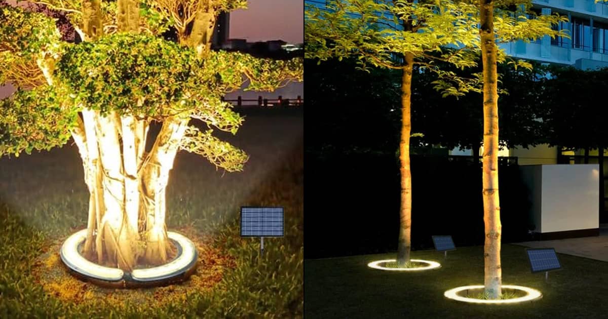 Solar-Powered LED Outdoor Tree Uplight Ring | The Green Head