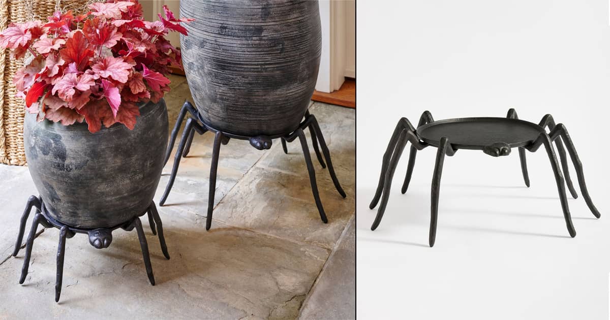 Spider Legs Plant Stand | The Green Head