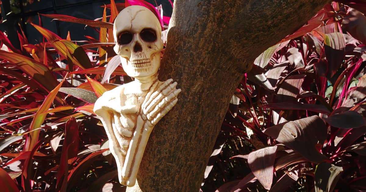 Spooky Lurking Skeleton Tree Mount Decoration | The Green Head