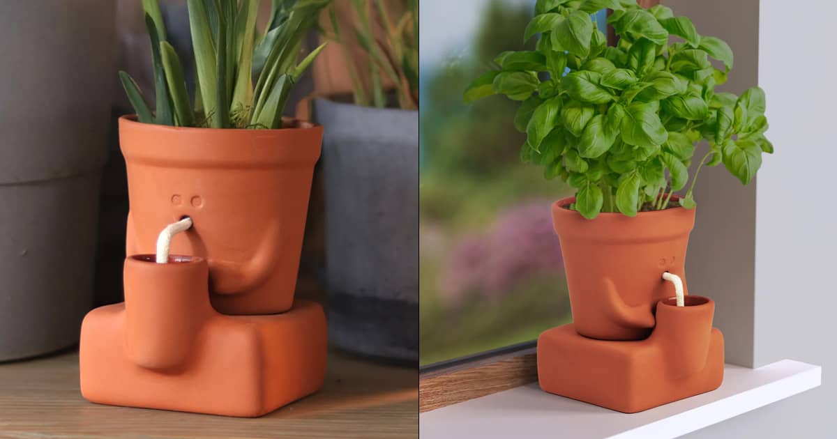 Thirsty Planter - Whimsical Self-Watering Planter Pot | The Green Head
