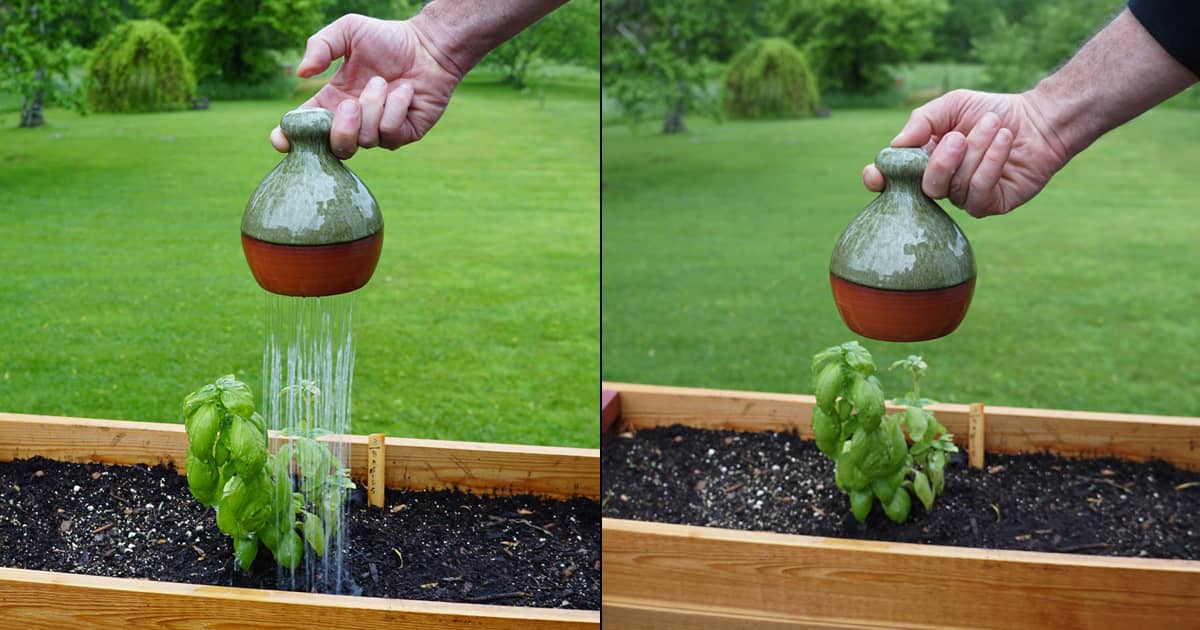 Thumb-Controlled Watering Can | The Green Head
