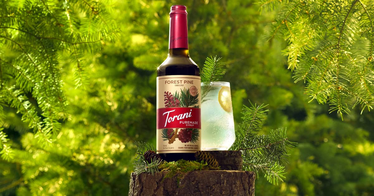 Torani Forest Pine Syrup - 2026 Flavor of the Year | The Green Head