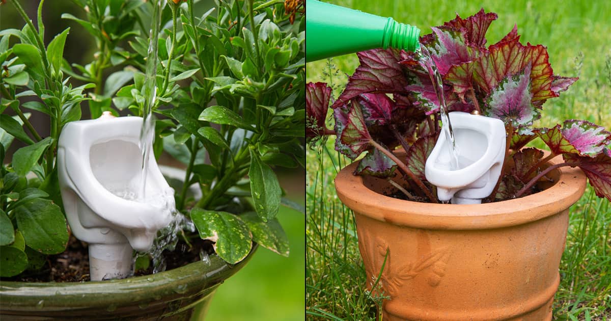 Urinal Plant Watering Stake | The Green Head