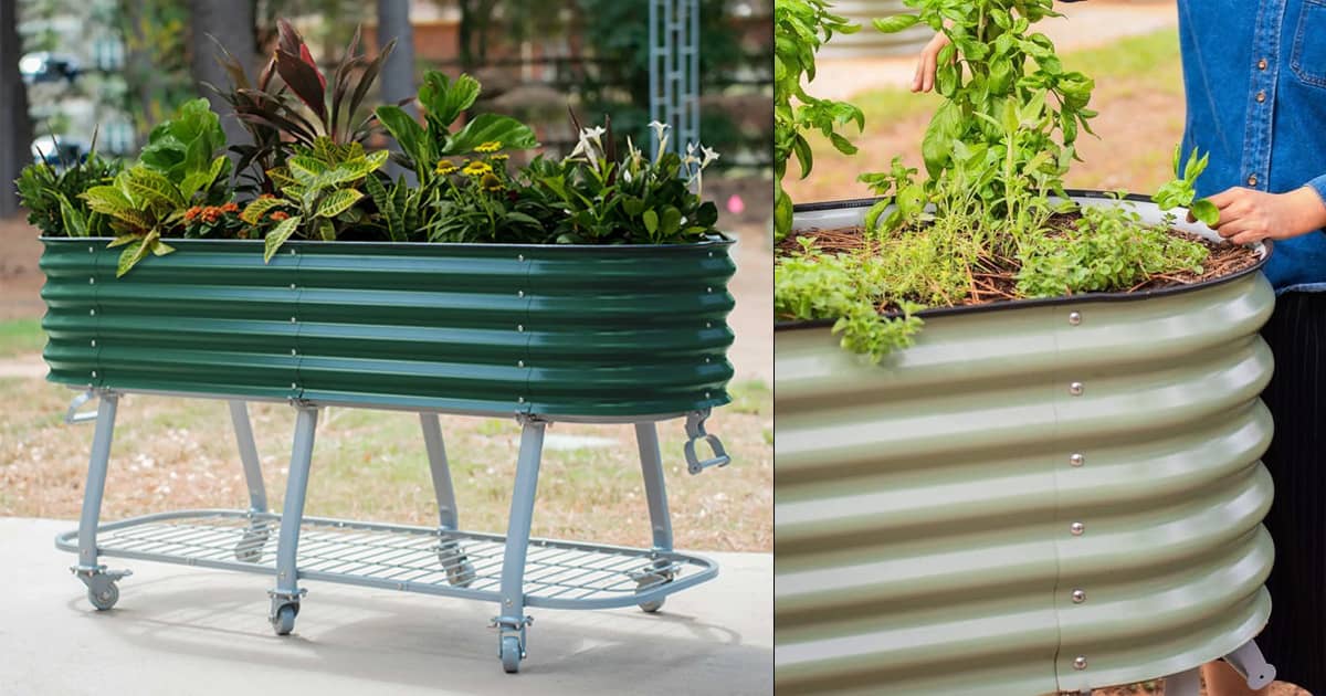 Vego Garden Elevated Rolling Garden Bed with Wicking Cell System | The ...