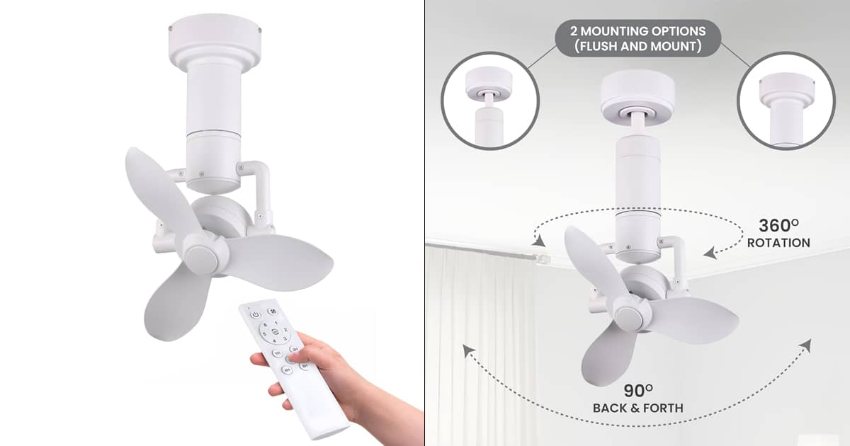 Versa Indoor/Outdoor Oscillating Ceiling Fan | The Green Head