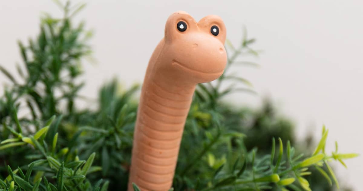 Willy the Worm - Color-Changing Houseplant Water Sensor | The Green Head