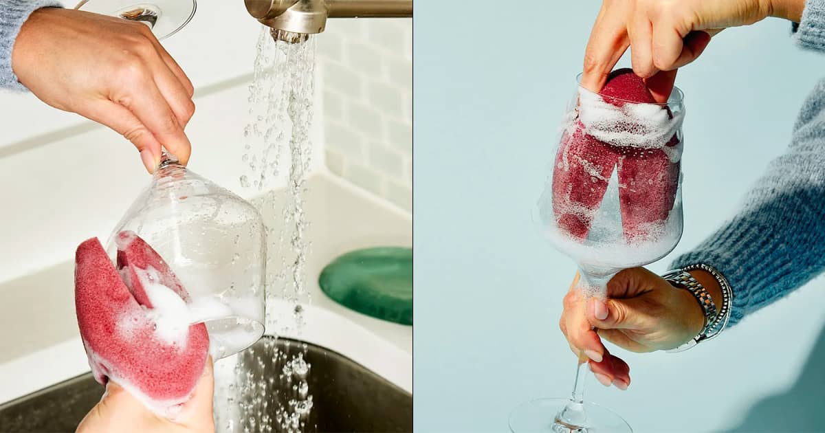 Wine Glass Sponge | The Green Head