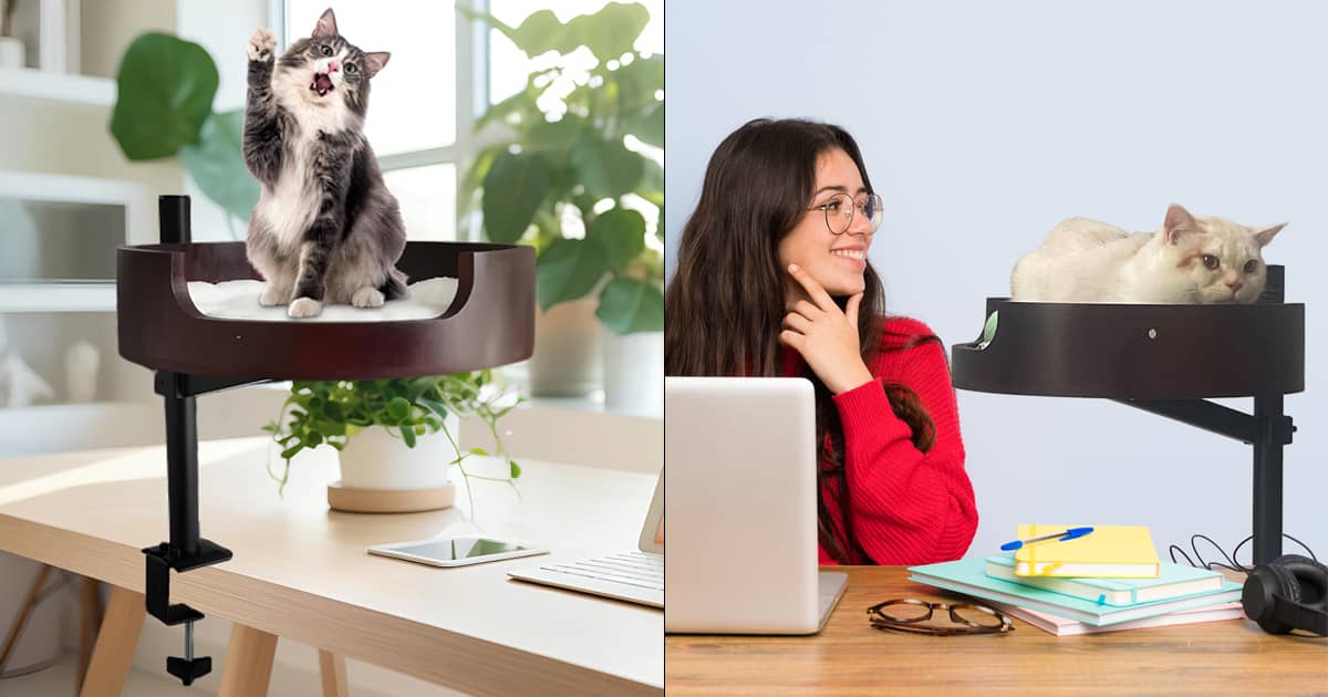 Wooden Desktop Cat Bed | The Green Head