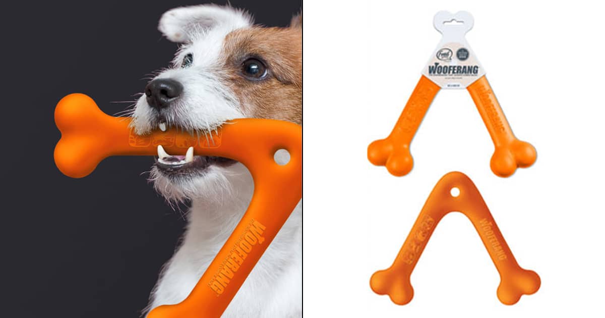 Wooferang - Dog Boomerang Fetch Toy | The Green Head