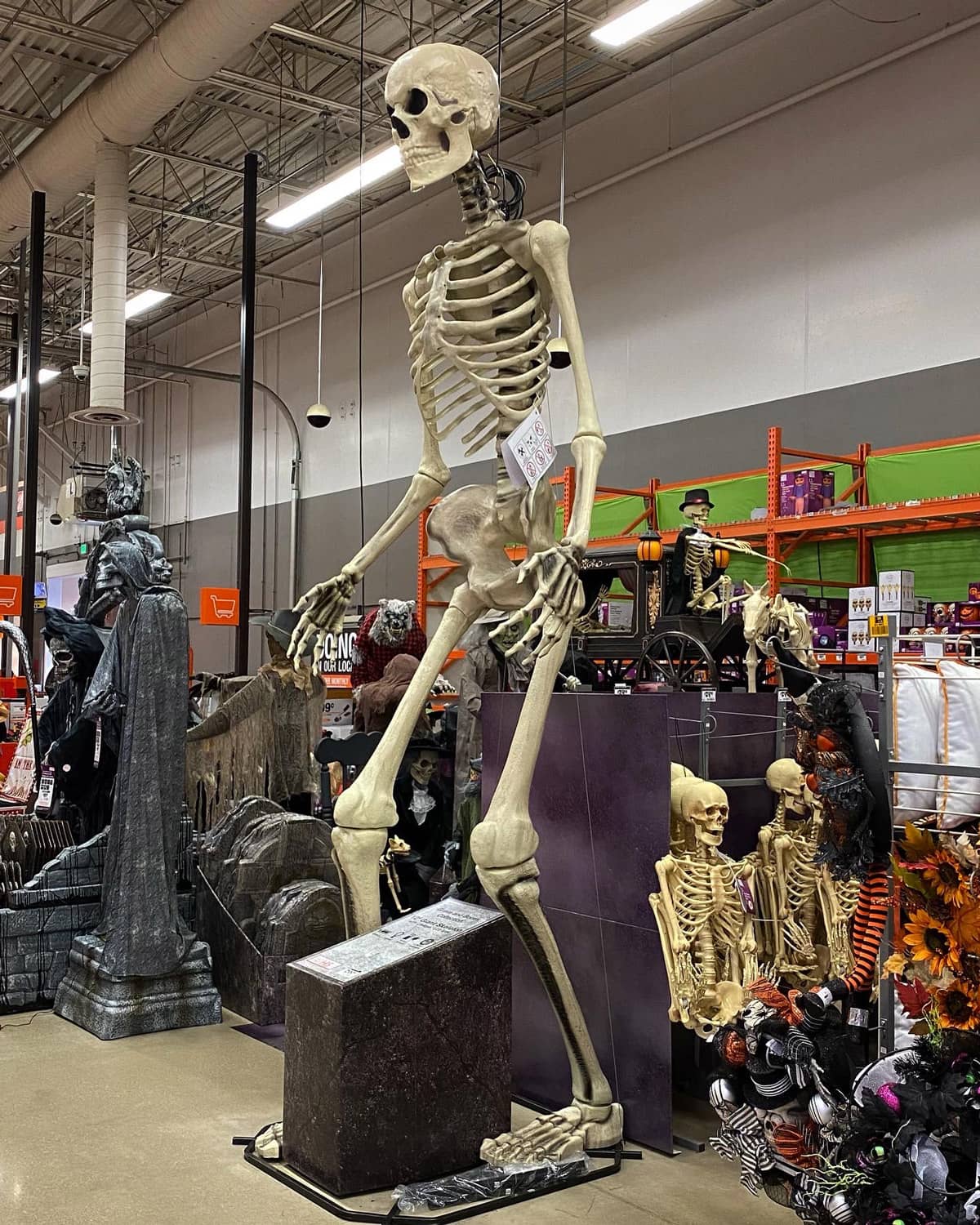 Terrifying 12 Foot Tall Giant Skeleton With Animated LCD Eyes