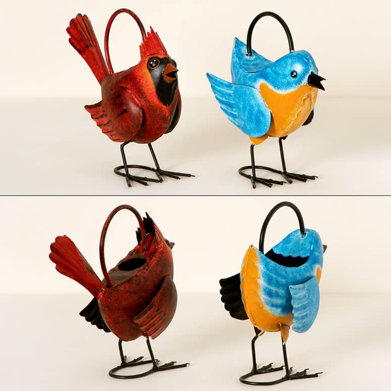 Backyard Bird Metal Watering Cans - Cardinal or Bluebird | The Green Head