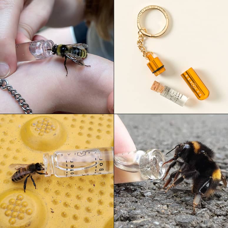 BeeVive - Portable Bee Revival Kit - Save a Bee! | The Green Head