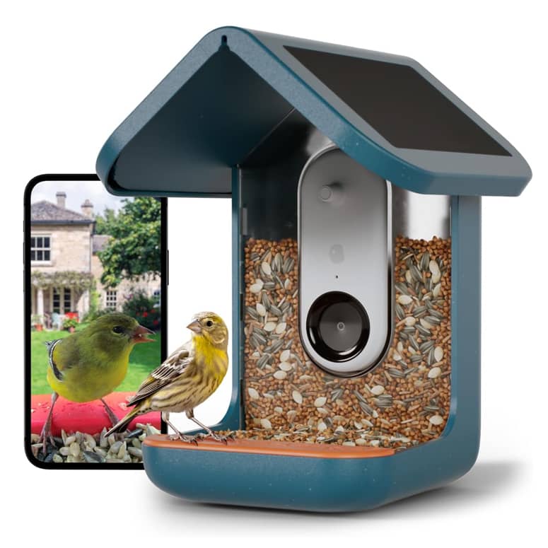 Bird Buddy - Solar Bird Feeder Smart Camera With A.I. Species ...
