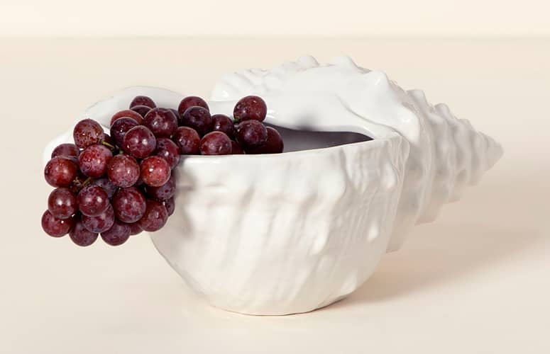 Conch Seashell Serving Bowl | The Green Head
