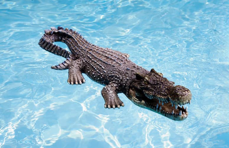 Floating Crocodile Decoy for Pools, Ponds, and More | The Green Head
