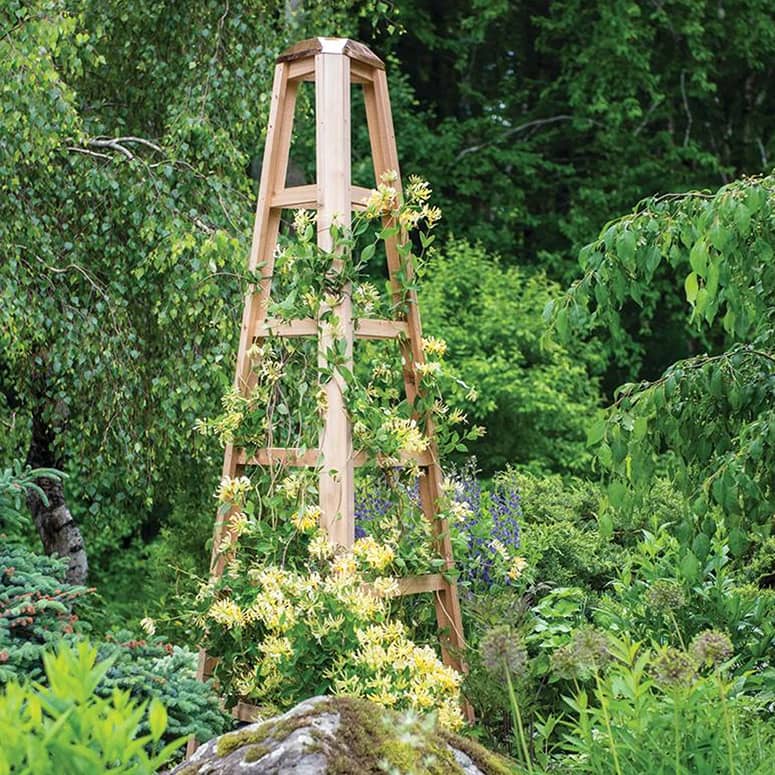 Giant Cedar Garden Obelisk - 8 Feet Tall! | The Green Head