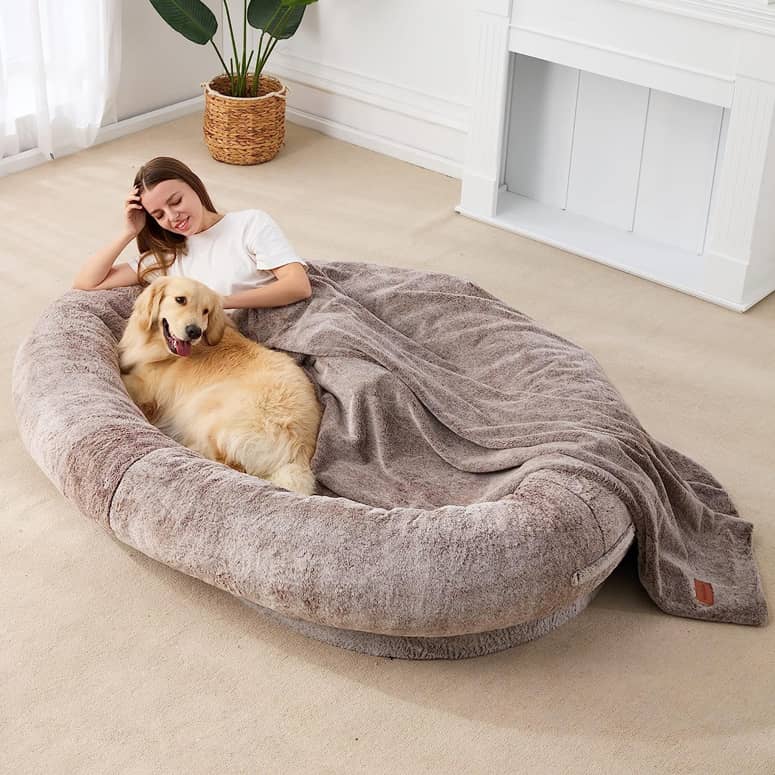Human-Sized Dog Bed | The Green Head