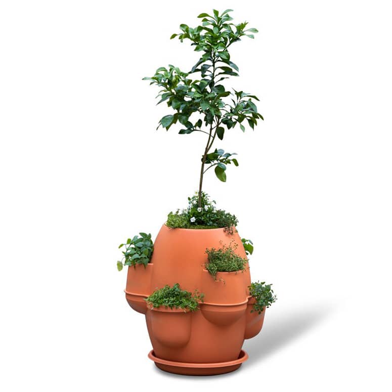 Oasis Tuscan Multi-Pot Planter | The Green Head