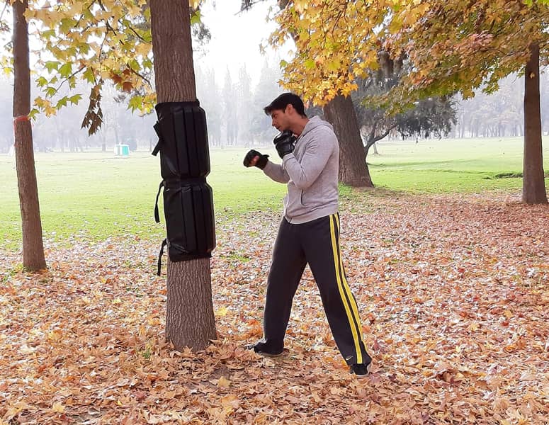 OranguBag - World's First Portable Punching Bag | The Green Head