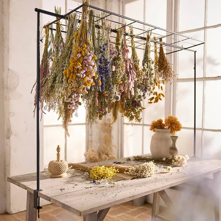 Over-the-Table Trellis | The Green Head