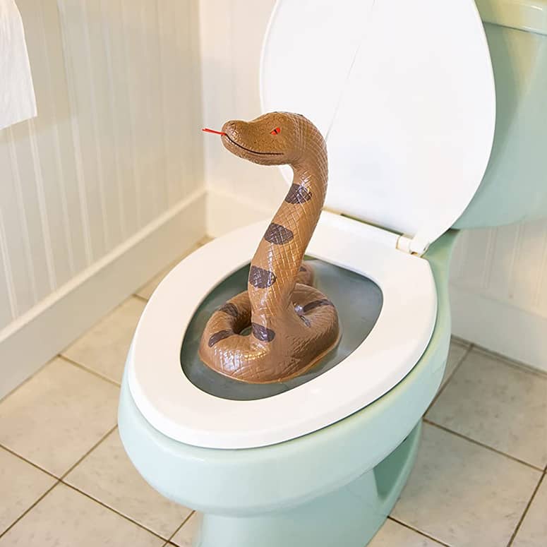 Pop-Up Toilet Snake Prank | The Green Head