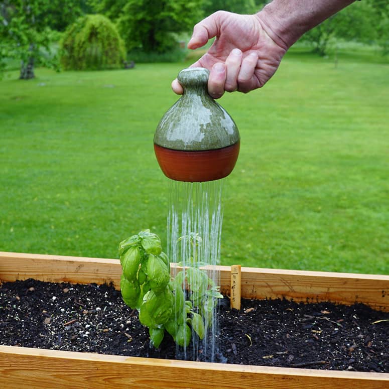 Thumb-Controlled Watering Can | The Green Head