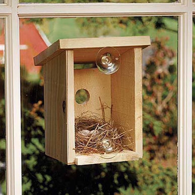 Window View Bird Nest Box | The Green Head